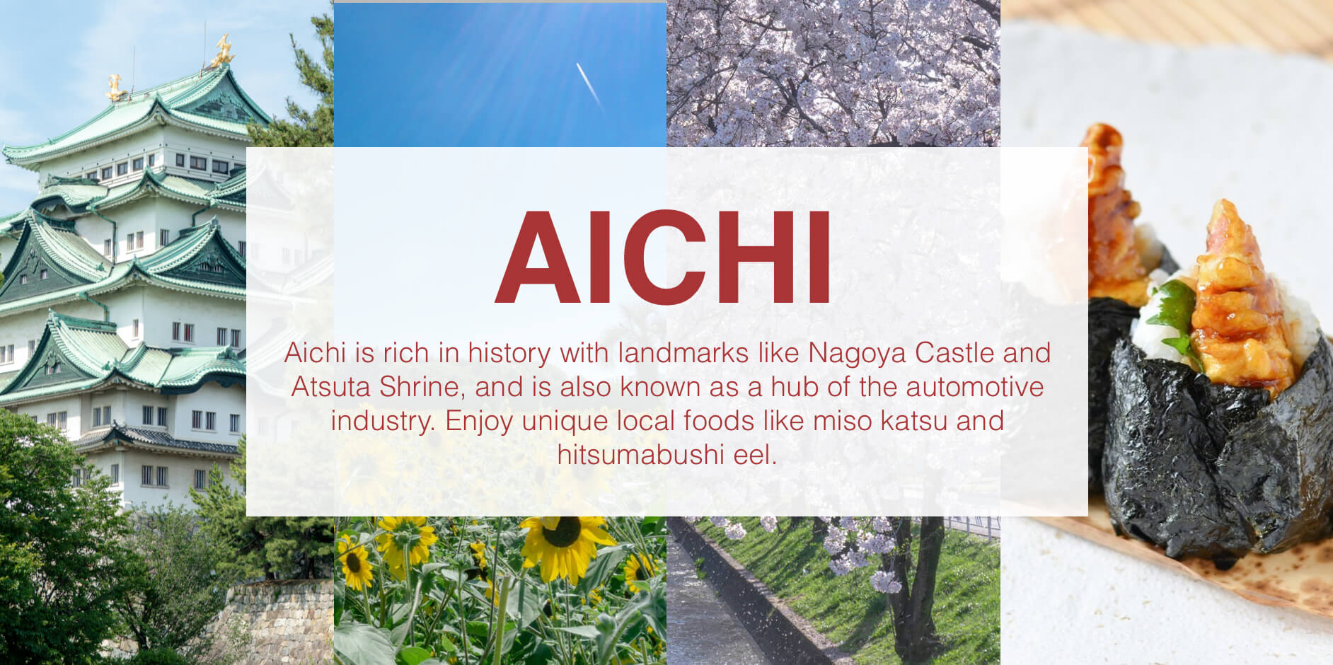 Aichi Prefecture – TOKYO IROHA